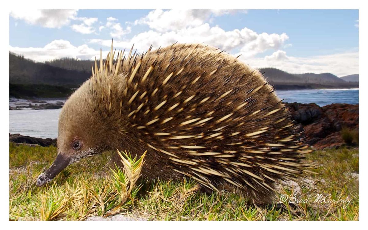 HIking and Cycling Freycinet National Park - BikeHikeSafari